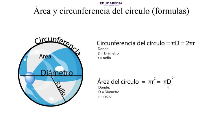 Área y circunferencia del círculo (formulas) - Educapedia