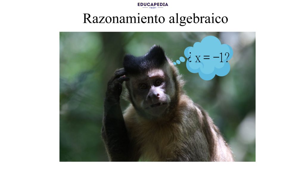 El razonamiento algebraico - Educapedia