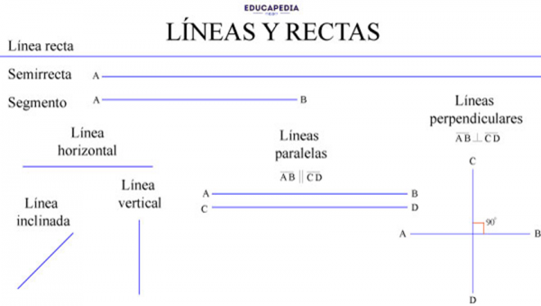 Paralelismo y perpendicularidad - Educapedia