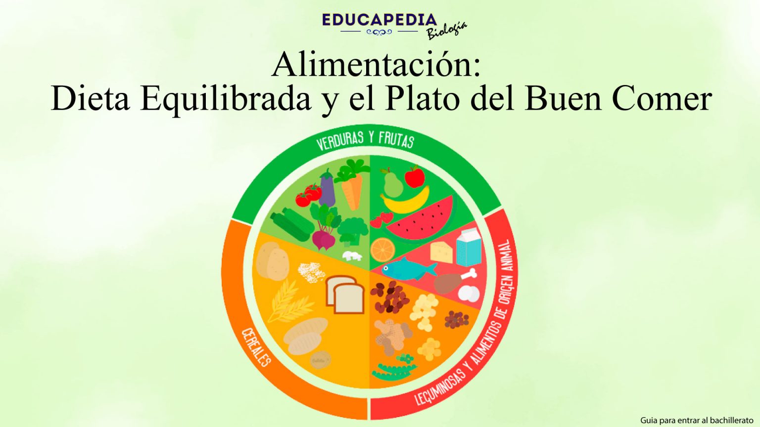 Alimentación: Dieta Equilibrada y el Plato del Buen Comer - Educapedia