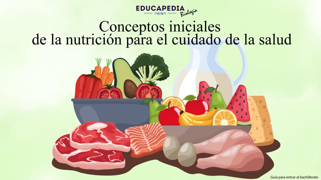 Conceptos iniciales de la Nutrición para el Cuidado de la Salud ...