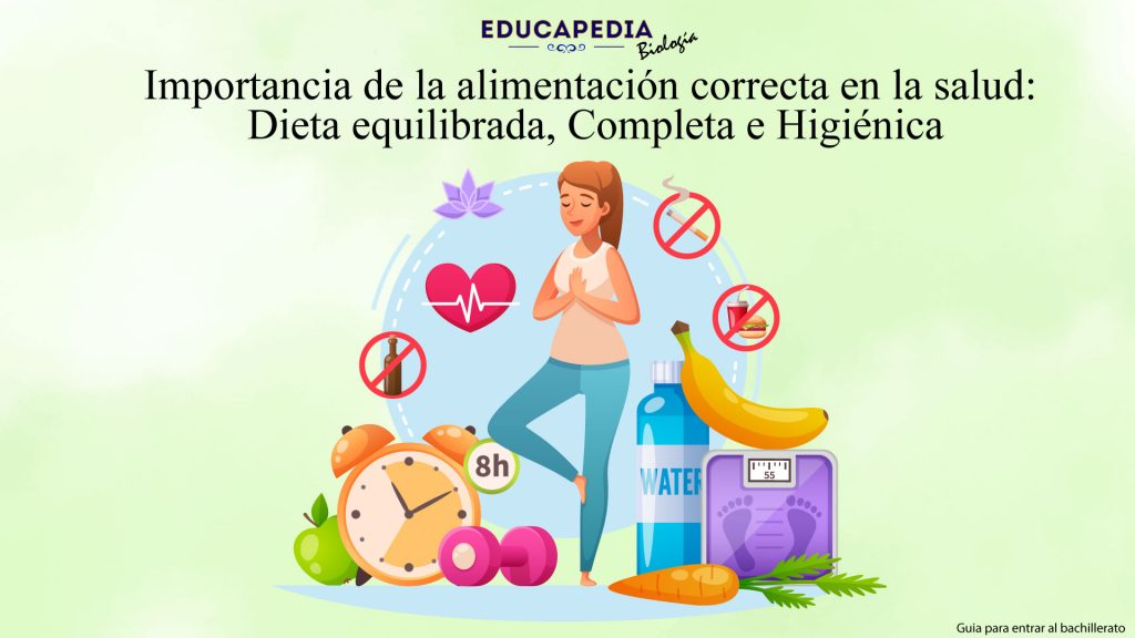 Importancia de la alimentación correcta en la salud: Dieta equilibrada ...