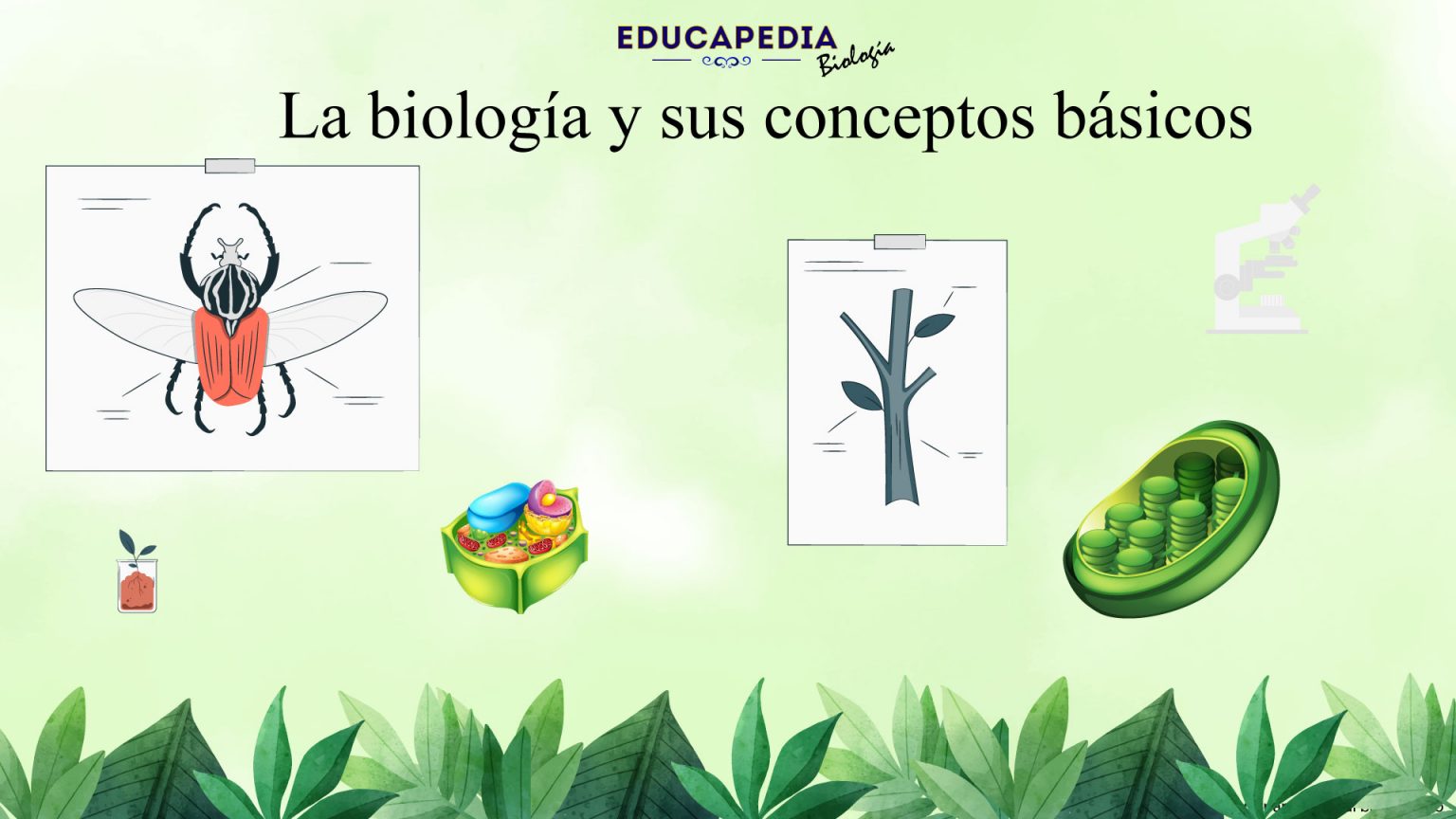 La biología y sus conceptos básicos - Educapedia