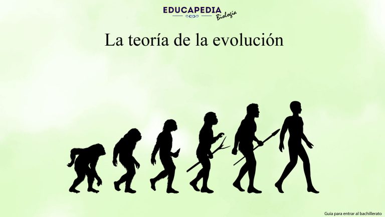 La Teoría de la Evolución - Educapedia