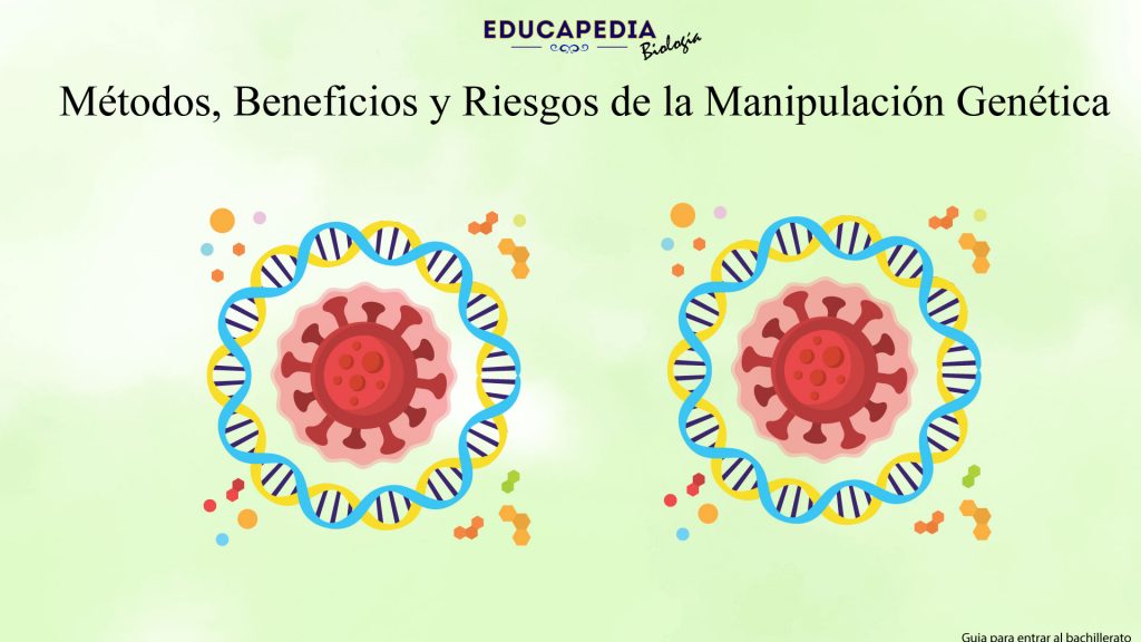 La Reproducción Celular - Educapedia