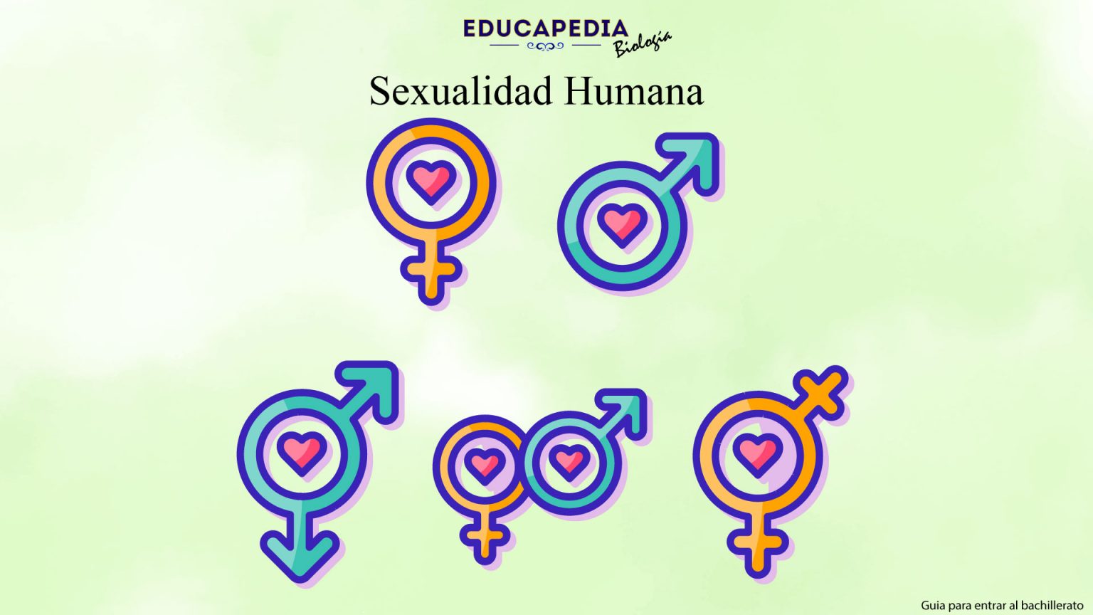 Sexualidad Humana - Educapedia