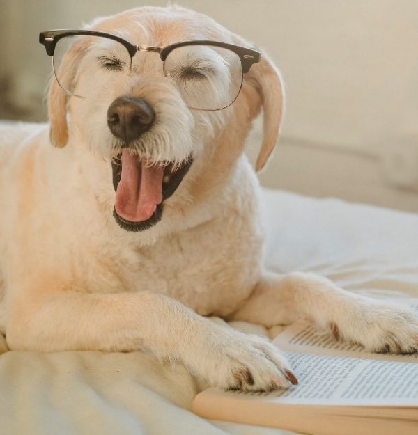 Identificación de información explícita o implícita contenida en el ...